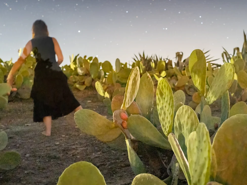 About — Ann Prochilo