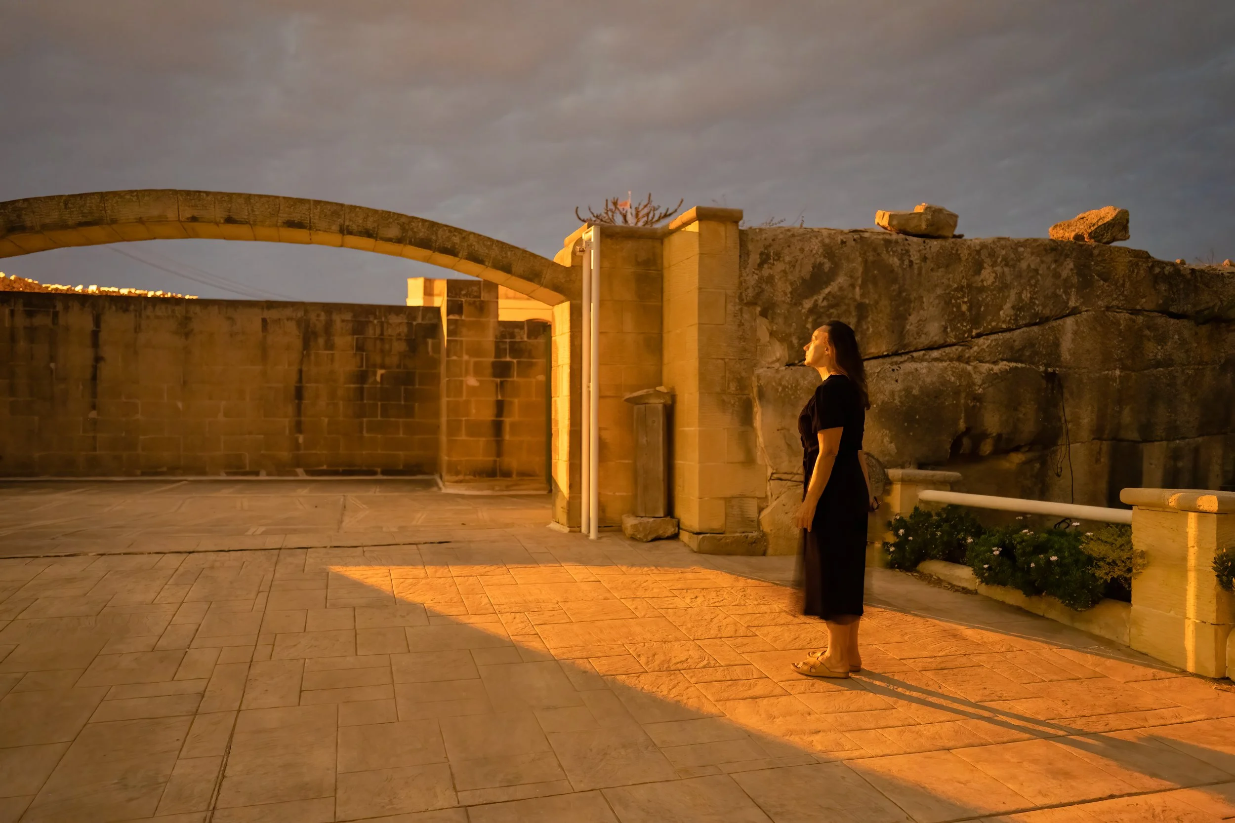 Portfolios — Ann Prochilo