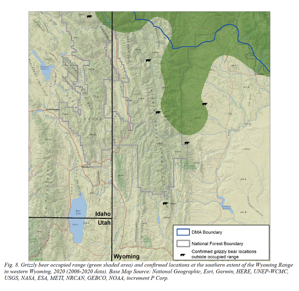 Wyoming Range 100 — Bears