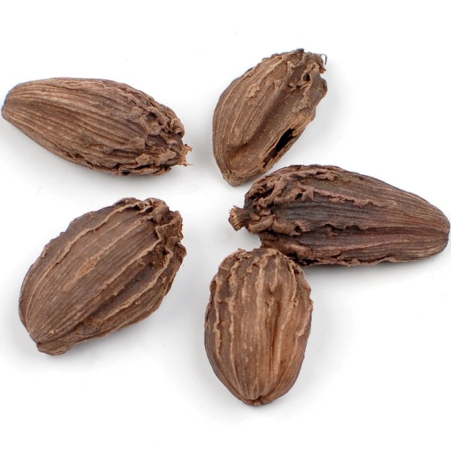 Culinary Herbs and Spices — Spice & Tea Merchants