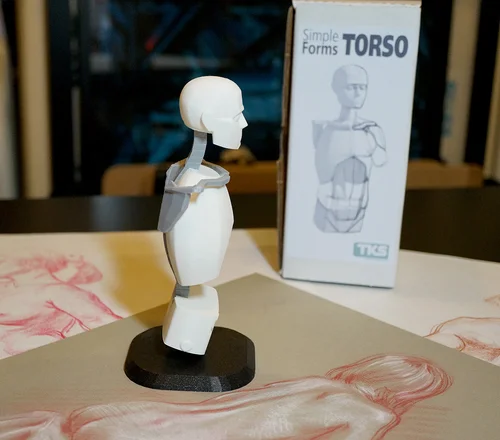 SFtorso — theKirkshop