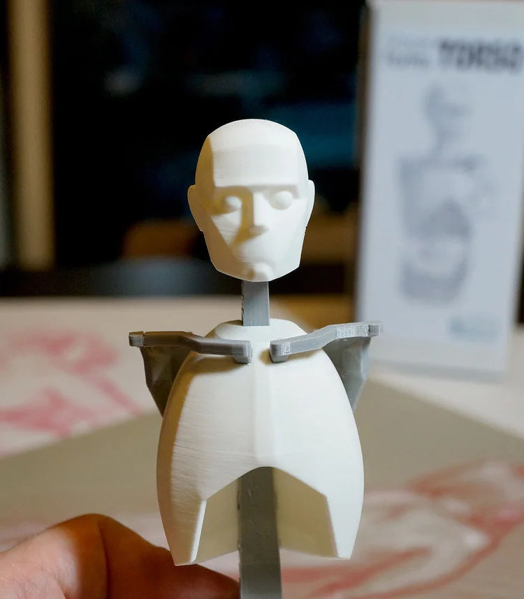 SFtorso — theKirkshop