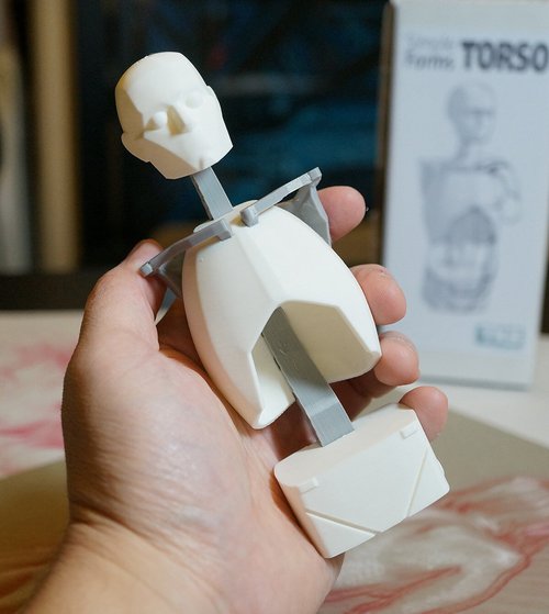 SFtorso — theKirkshop