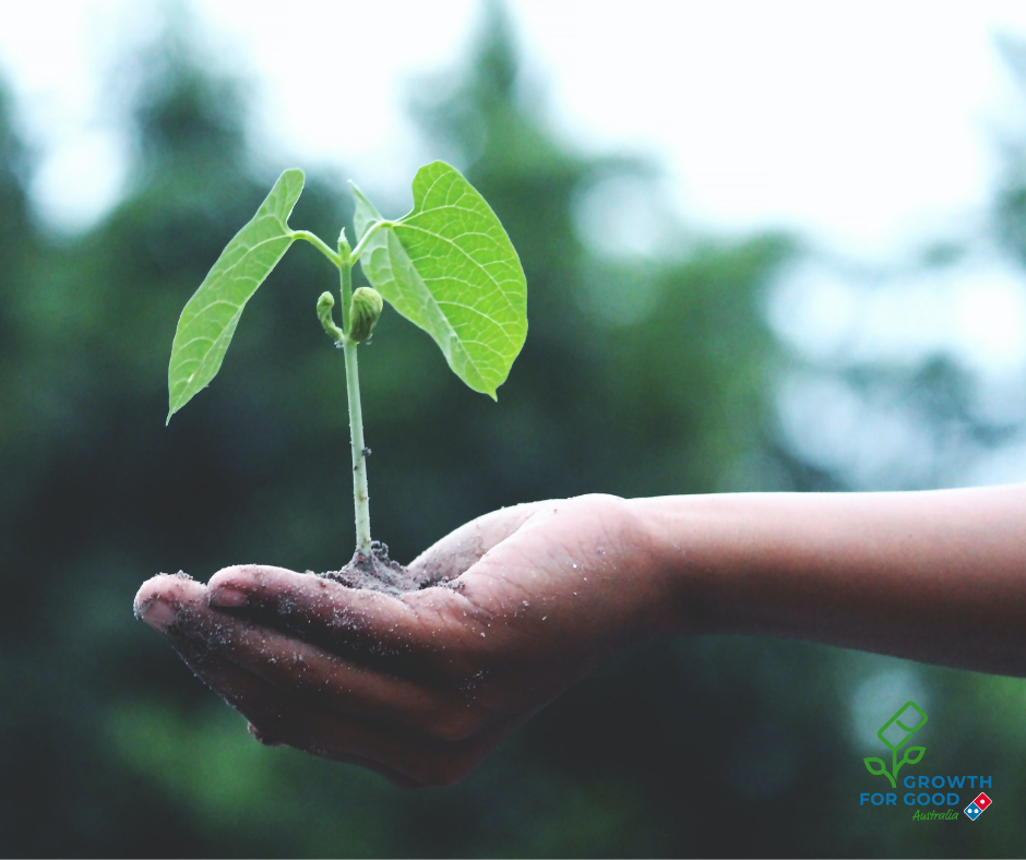 3,000 trees for 3,000 stores Domino’s digs deep to celebrate company ...