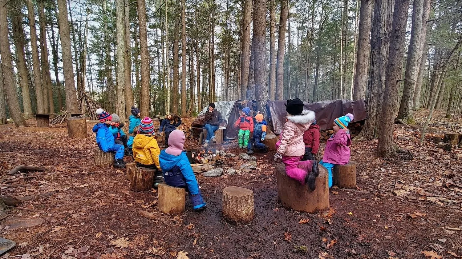 The Evolution of FSP's Outdoor Kindergarten Program — Friends School of ...