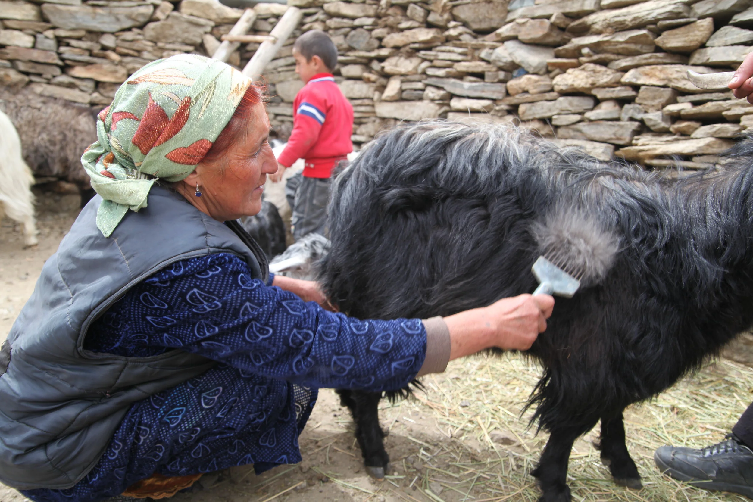 Fiber Journey — Cashmere People Yarns