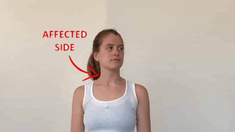 Physical Therapy After Cervical Laminectomy or Discectomy — Spine Together