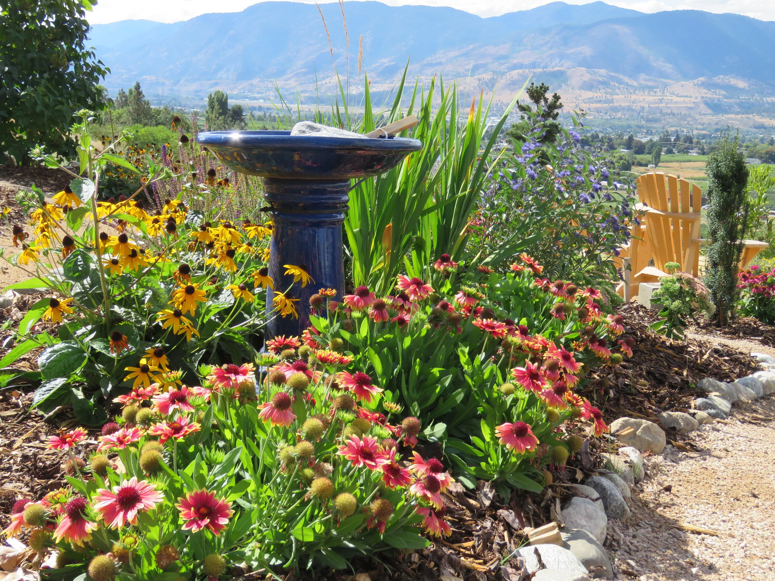 Okanagan Lookout – A Garden for Birds — Red Bird Landscapes & Edible ...