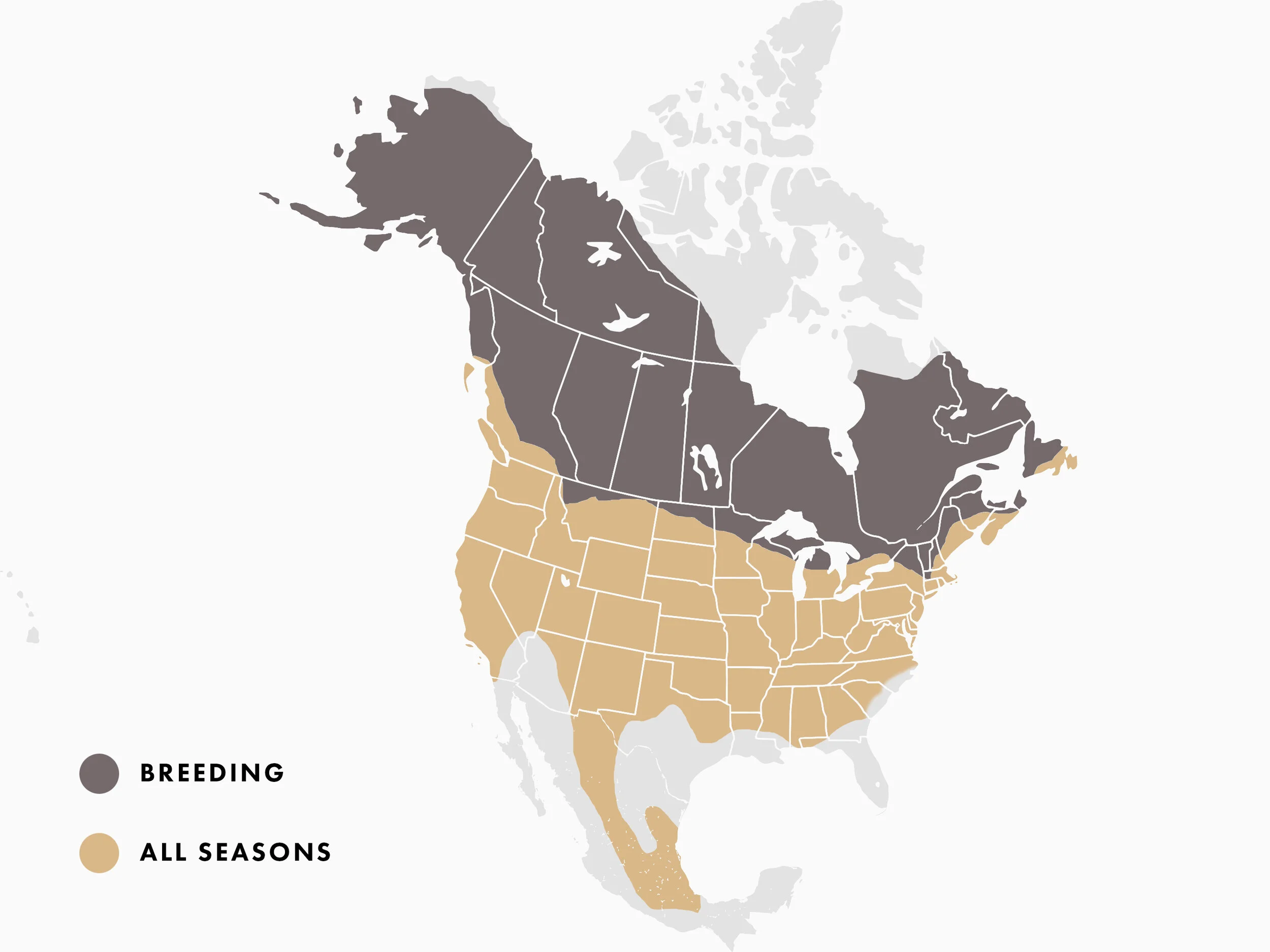 Modern Birdhouses and Birdhouse Kits - Chirp Birdhouses