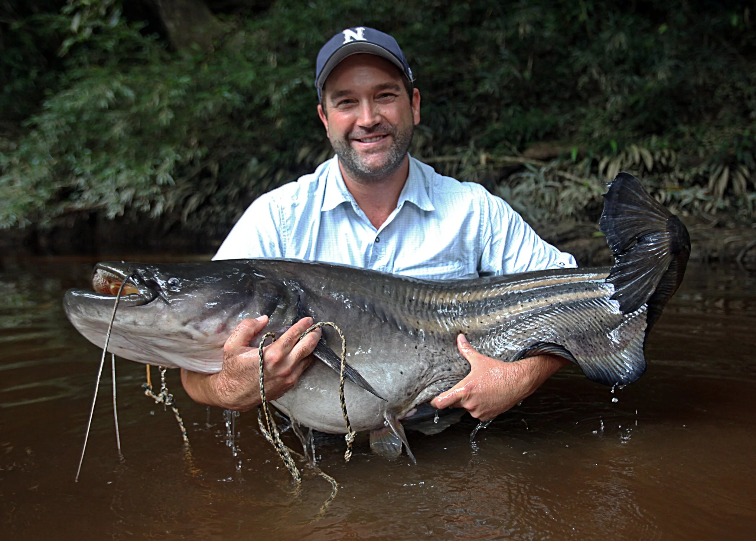From the Colorado to the Mekong River, In Pursuit of Some Very Big Fish ...