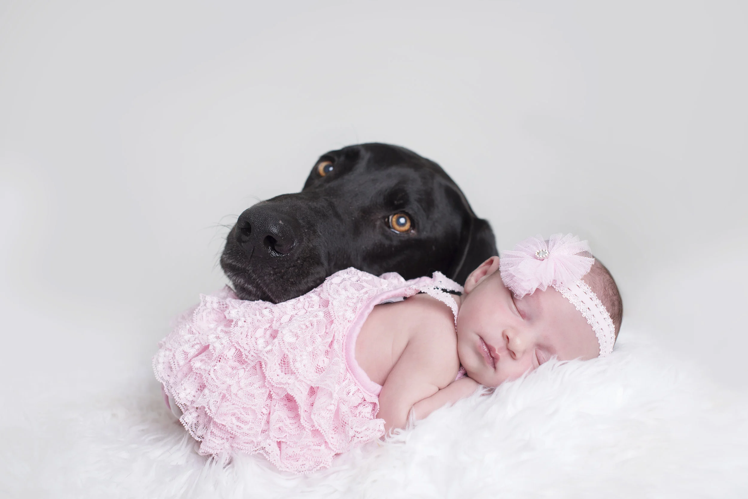 Newborns — Ochoa Photography