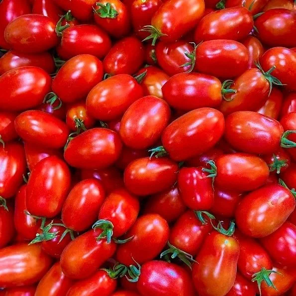 Summer 2023 #12/18: Sweet Corn, Shishitos & Bulk Roma Tomatoes! — Wild ...