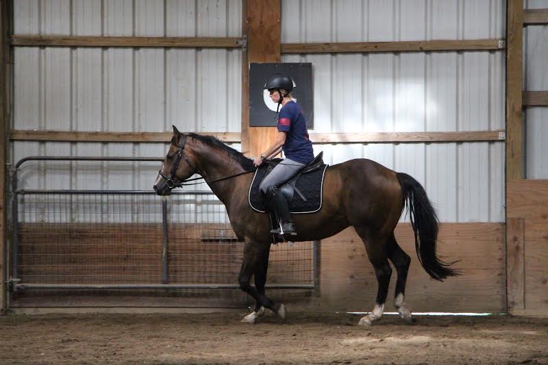 Riding Programs — GREAT STRIDES LI