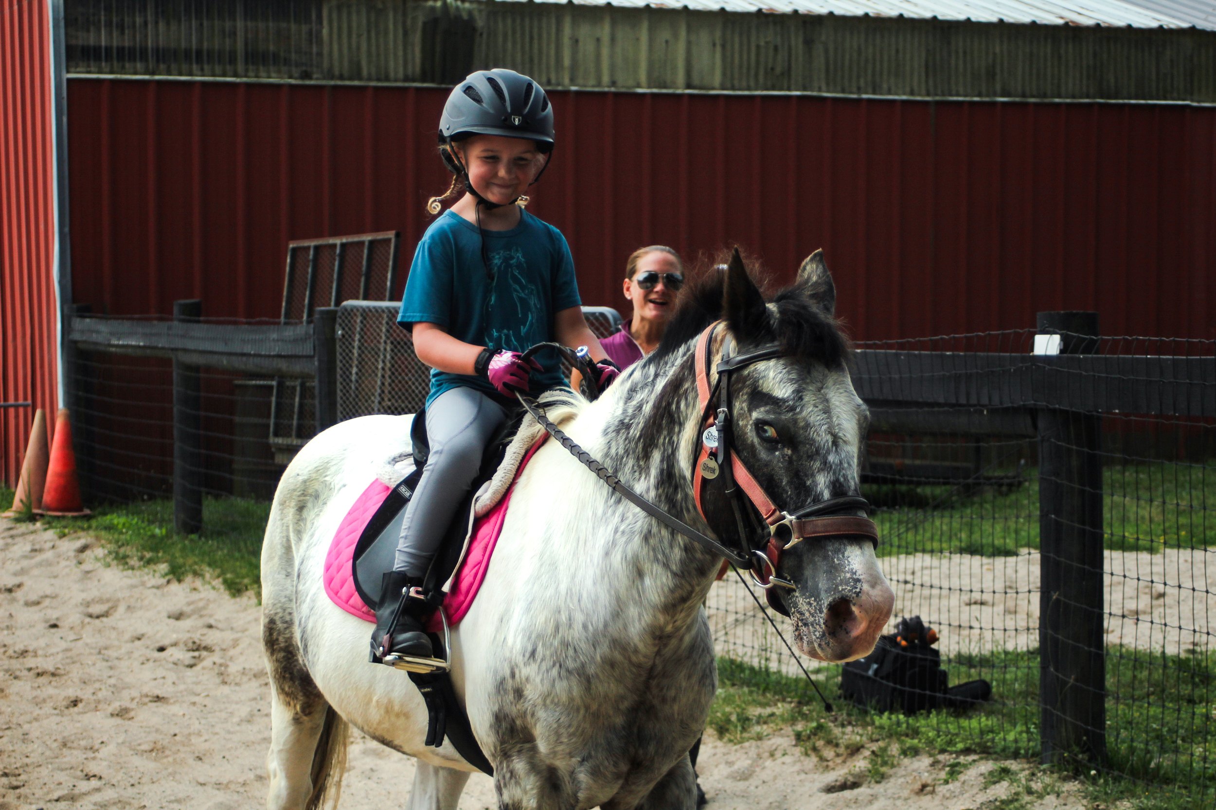 Riding Programs — GREAT STRIDES LI