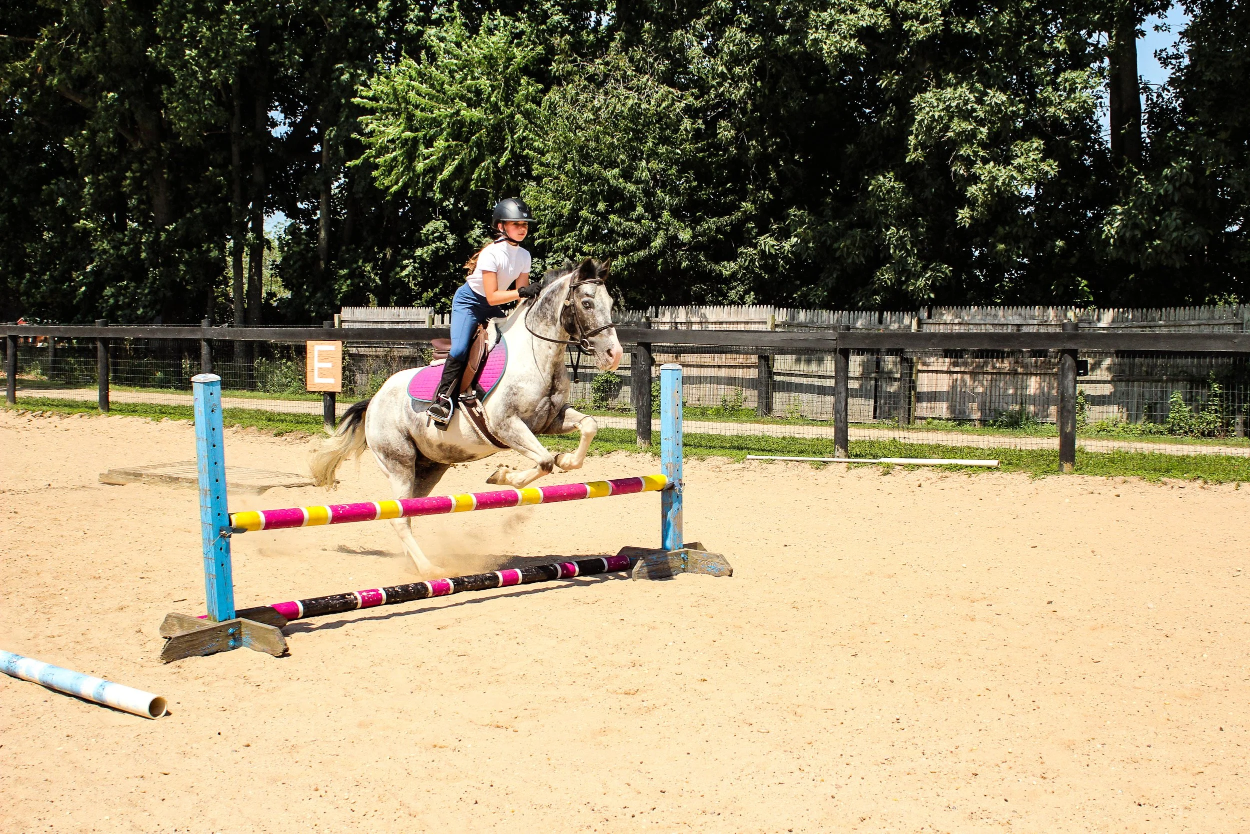 Riding Programs — GREAT STRIDES LI