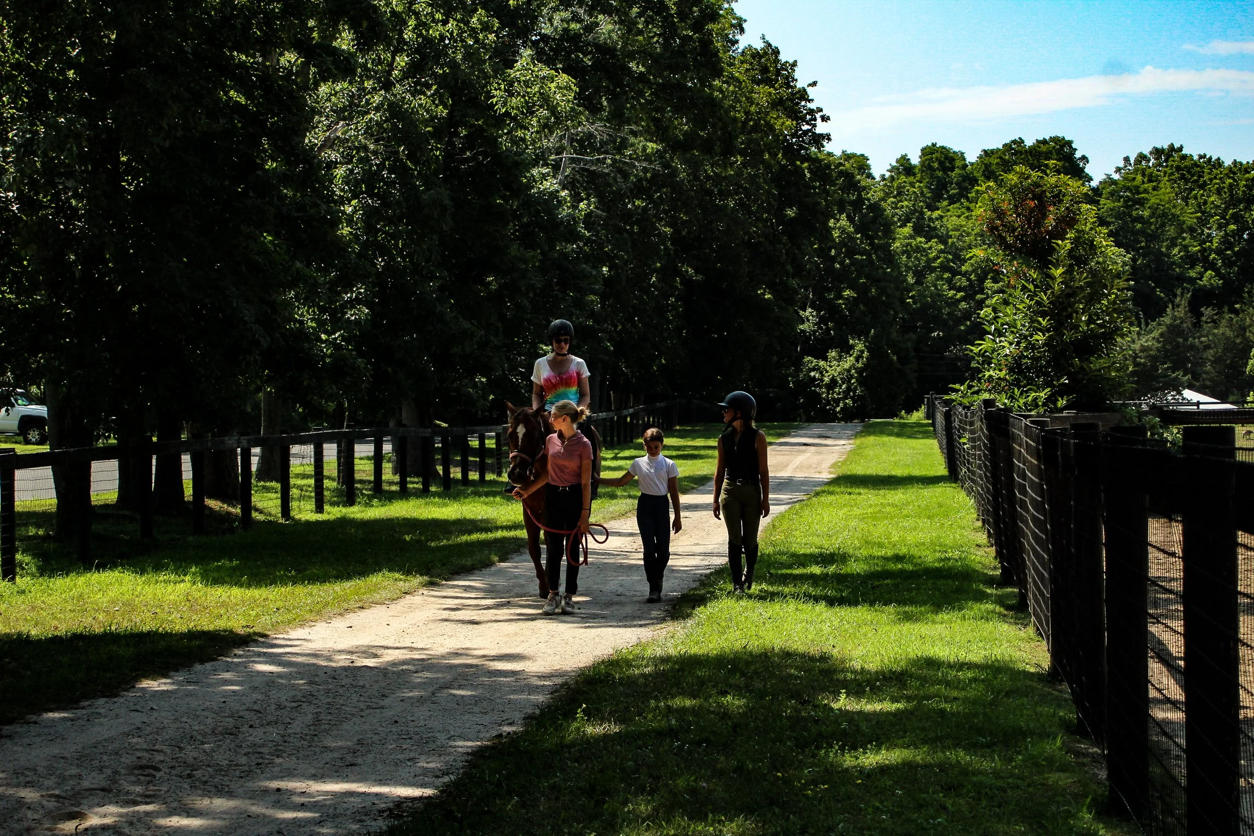 Therapeutic Riding — GREAT STRIDES LI
