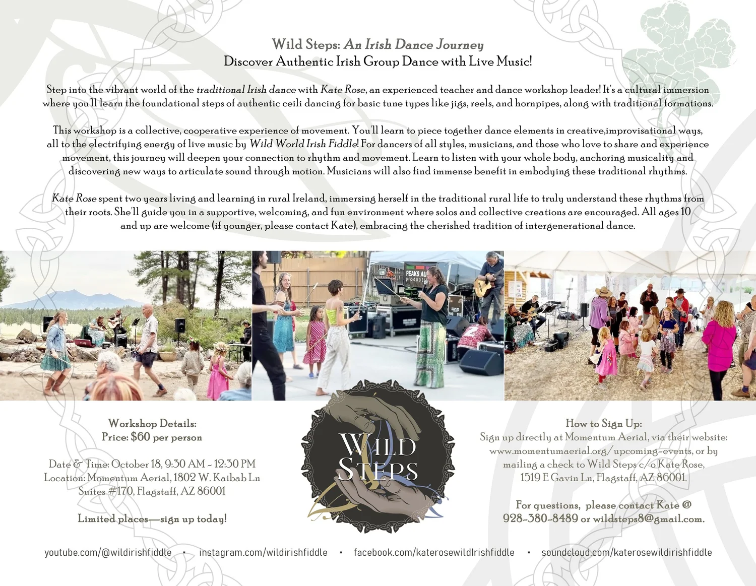 Wild Steps: An Irish Dance Journey — Momentum Aerial