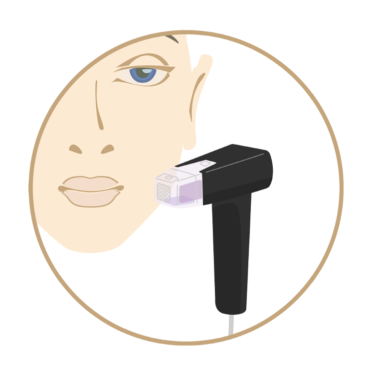 Face — The PRP Lab.