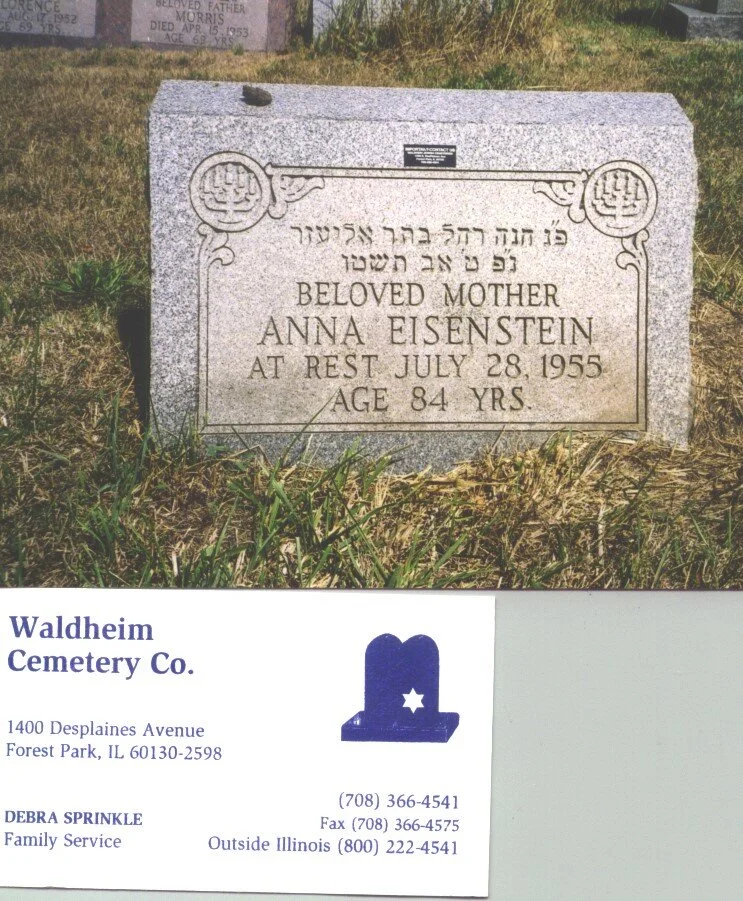 NEVER SAY NEVER — Sharon Mark Cohen