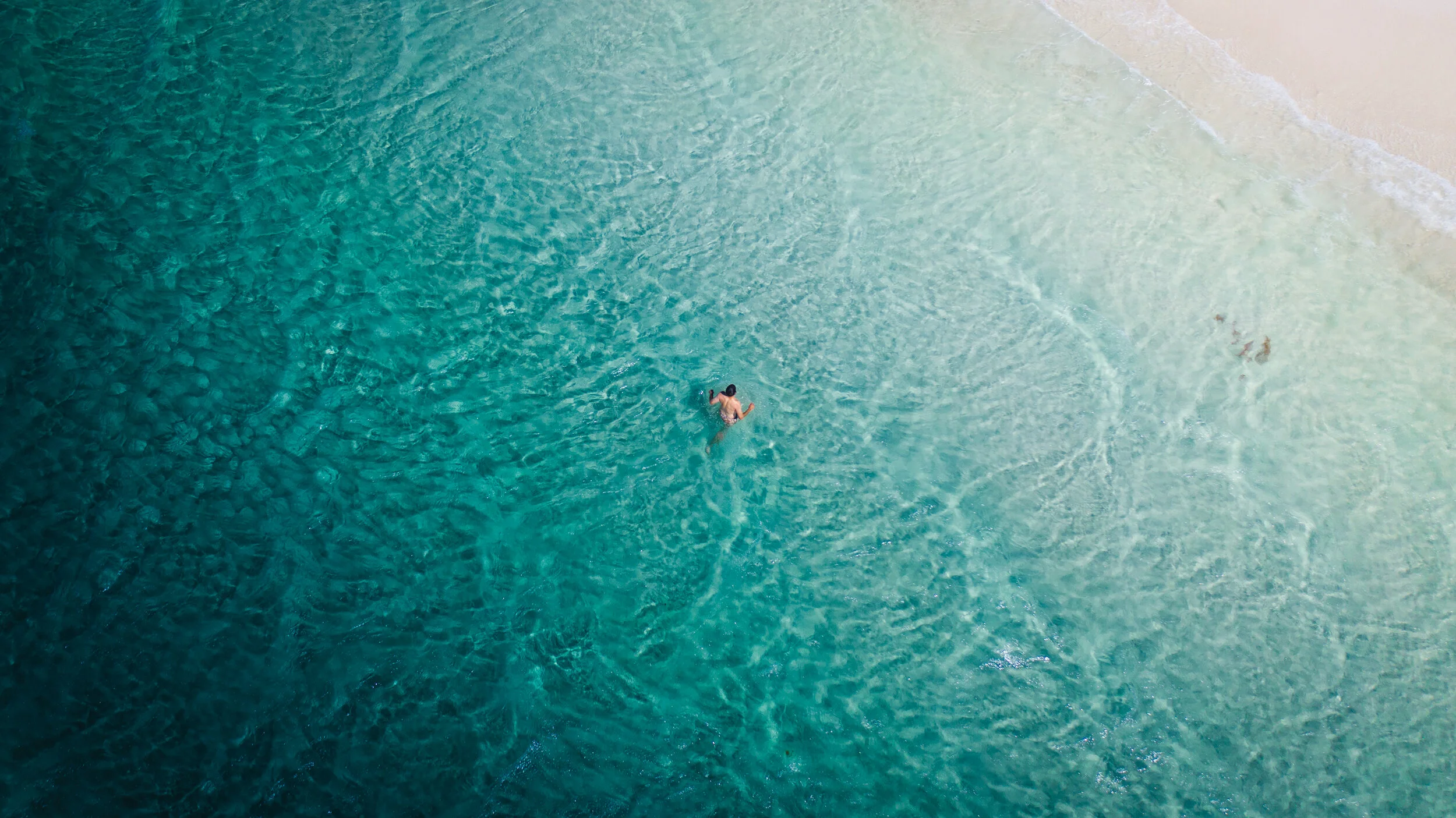 Gallery — Gab Scanu