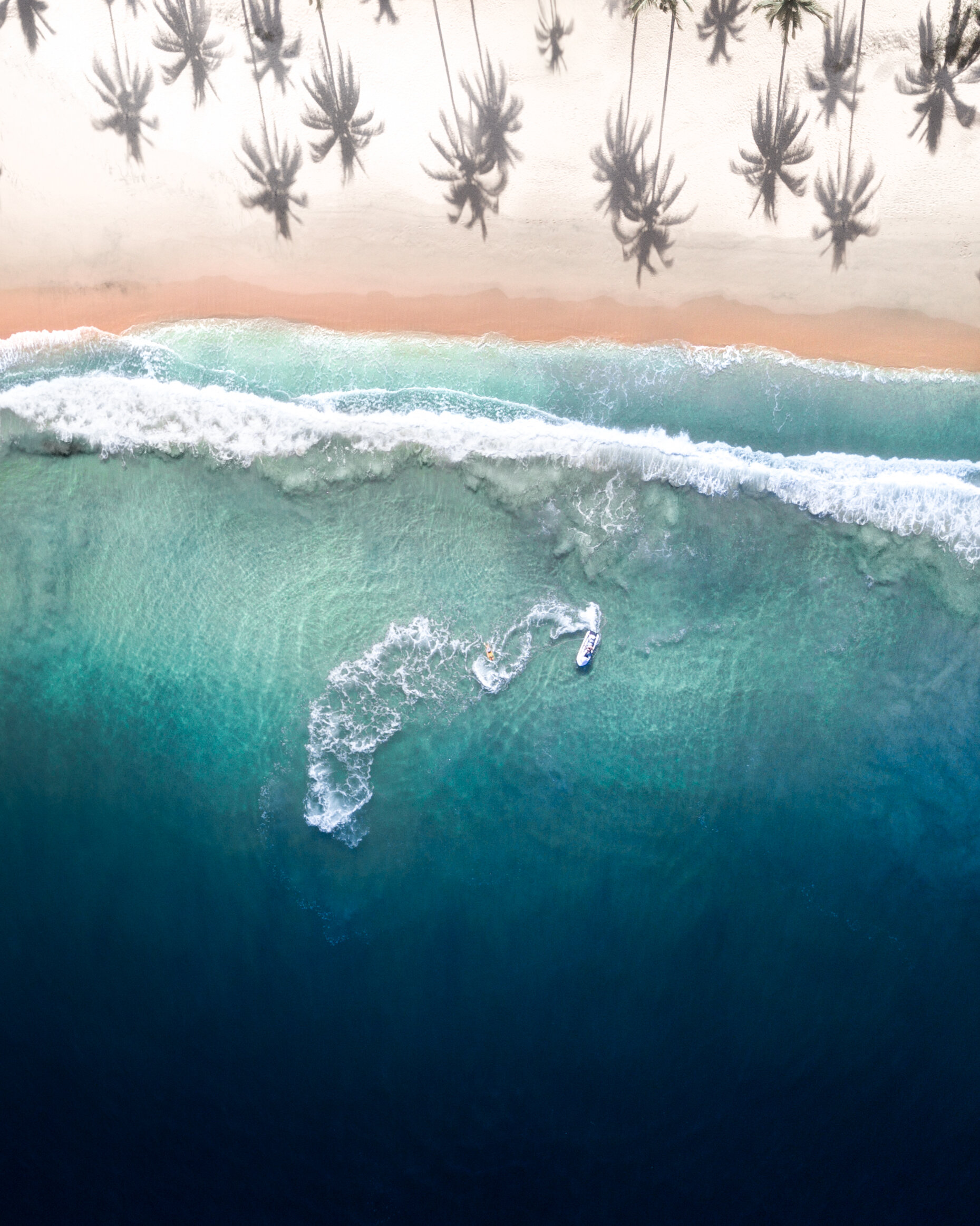 Gallery — Gab Scanu