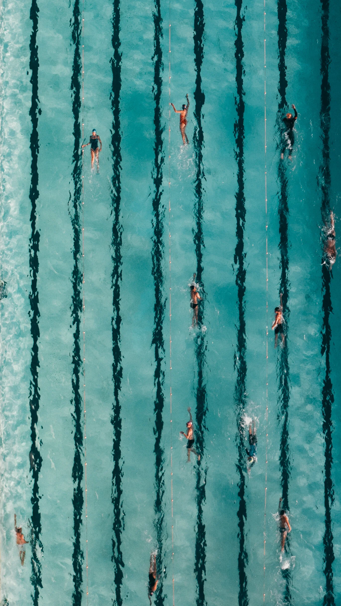 Gallery — Gab Scanu