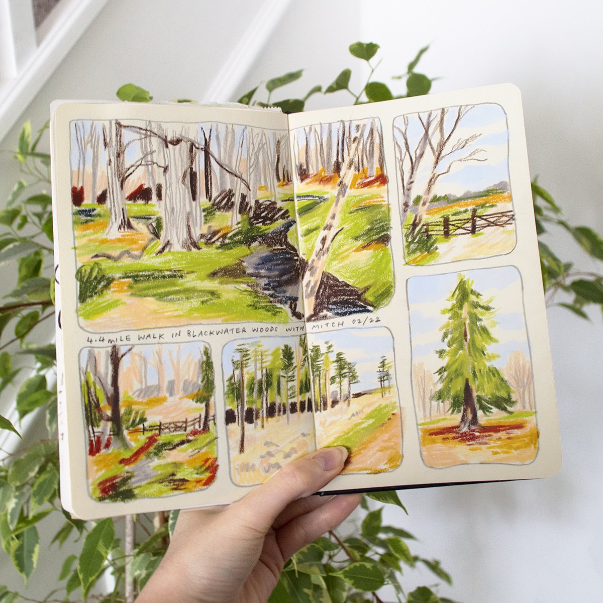 Sketchbook — Katie Moody