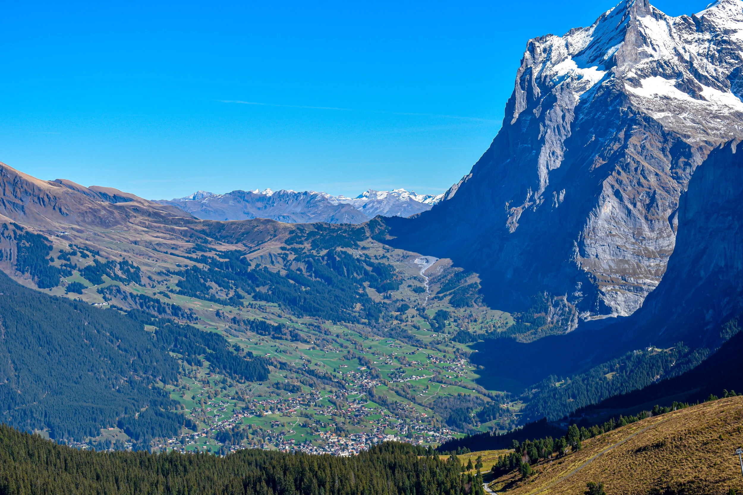 Bryan Steele Photography