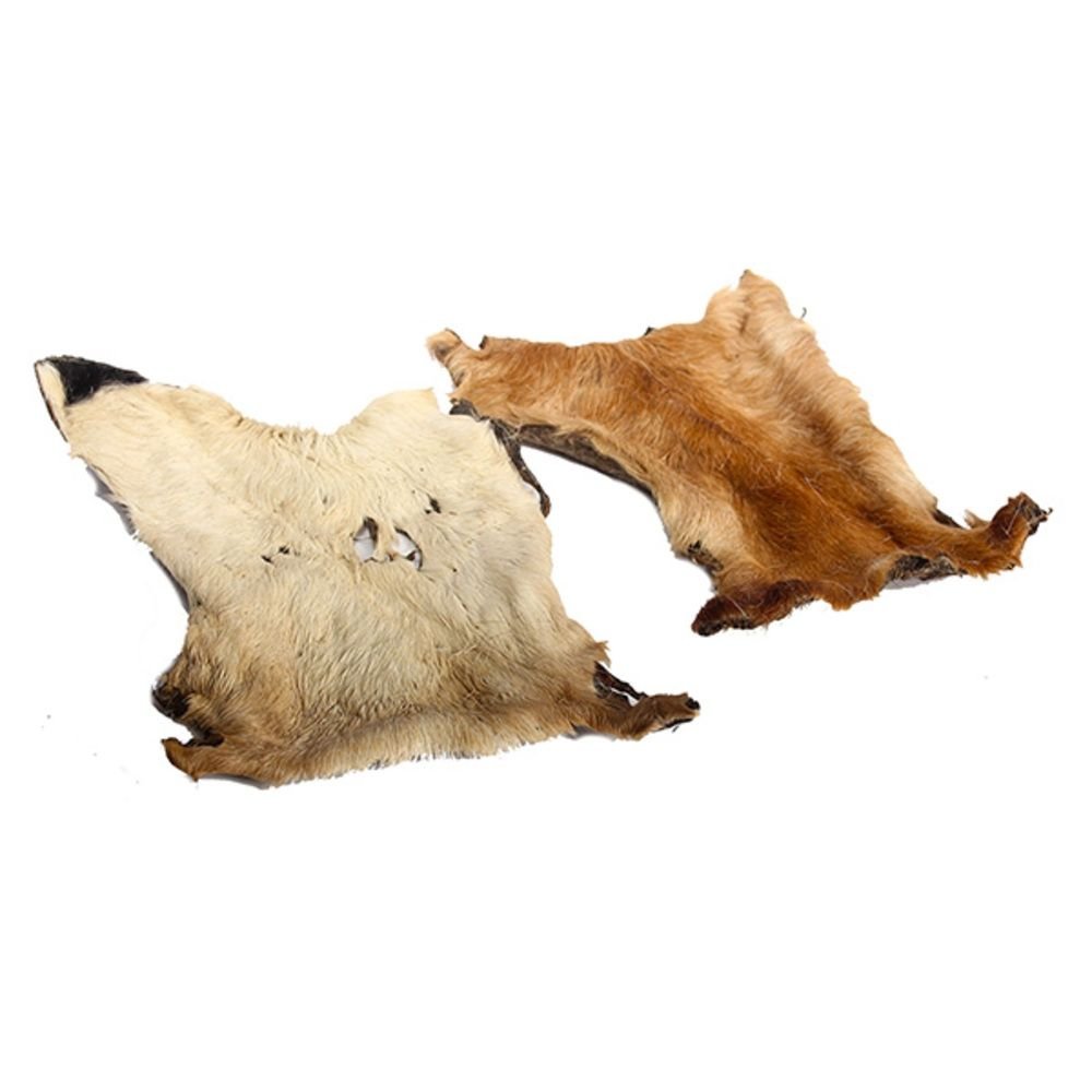 Can Puppies Chew On Bark