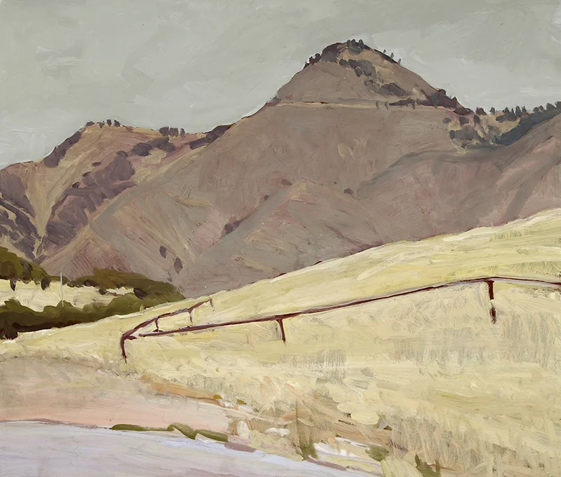 ROBERT ABBOTT — Marcia Burtt Gallery