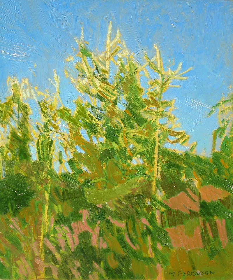 Michael Ferguson: Electric — Marcia Burtt Gallery