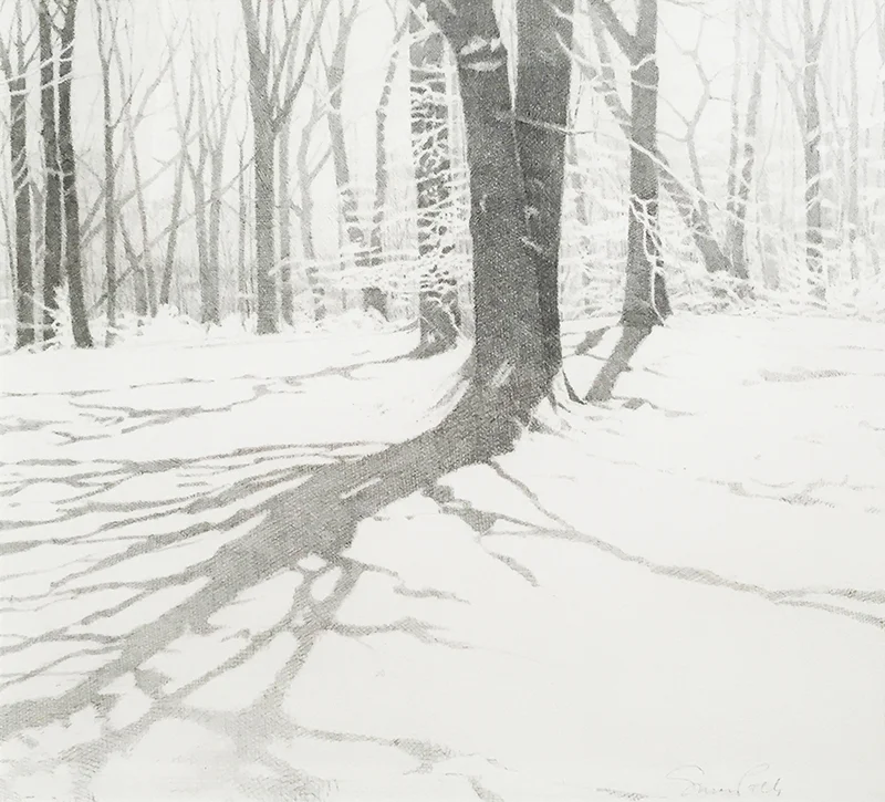 Anne Ward & Shadows and Light — Marcia Burtt Gallery