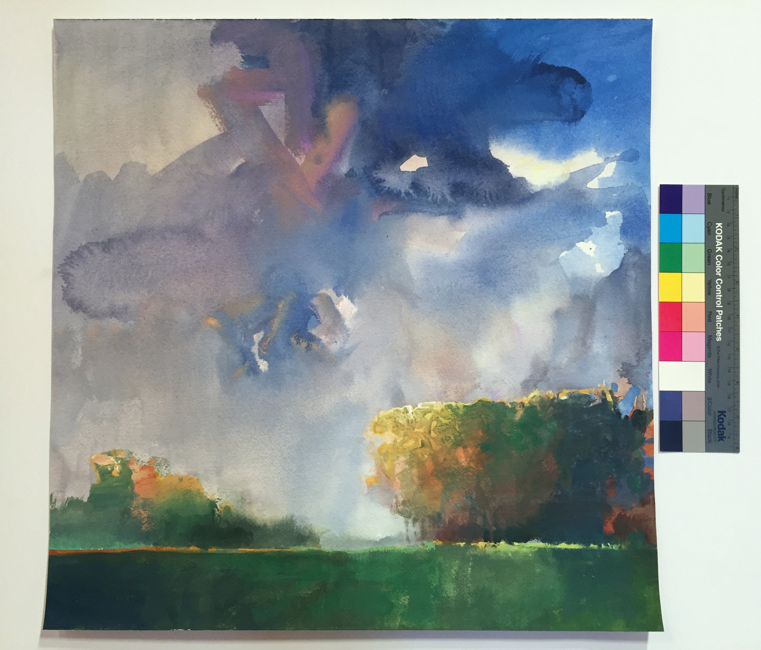 Tipton paintings — Marcia Burtt Gallery