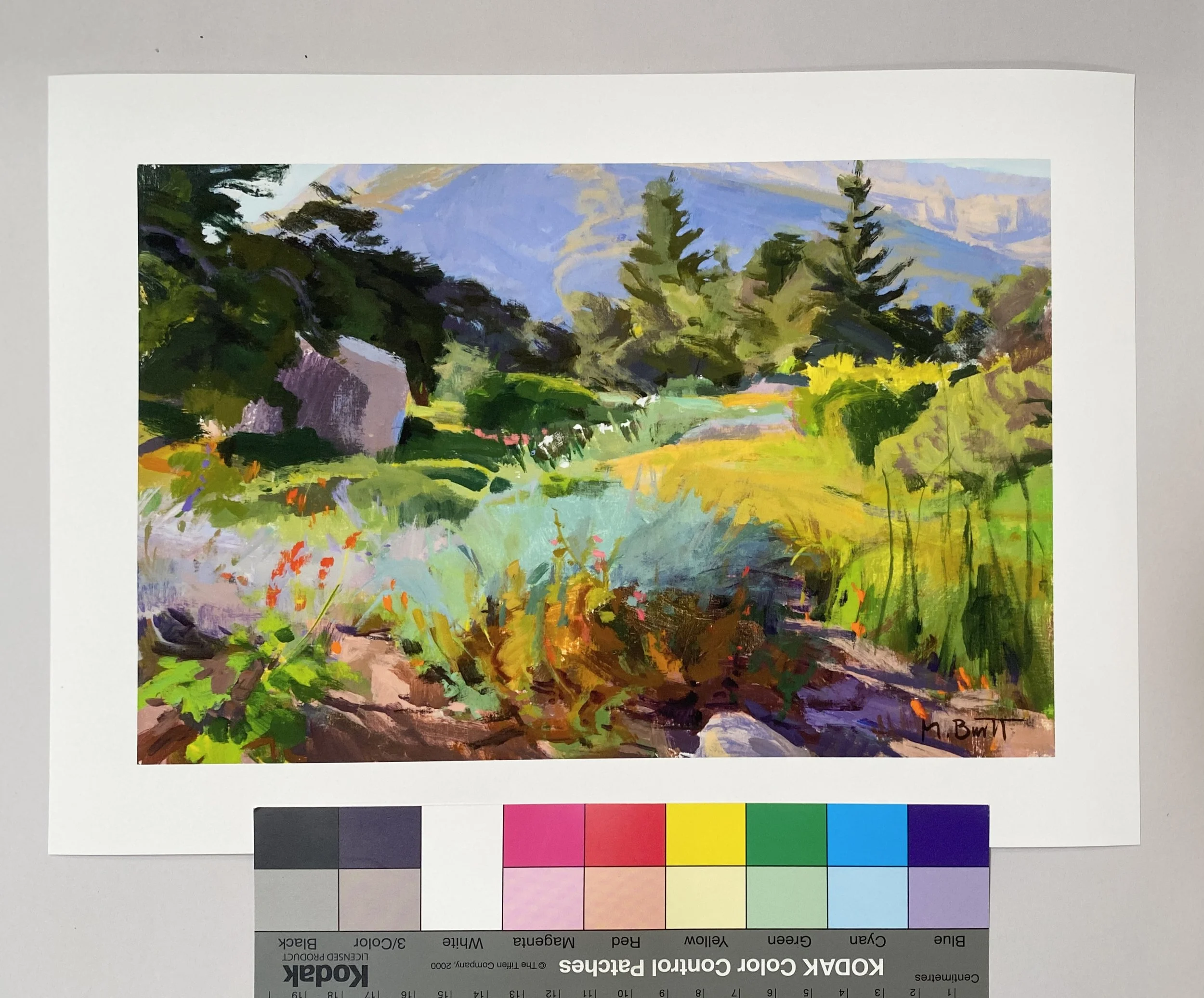 Big Sur, Spring, signed litho — Marcia Burtt Gallery