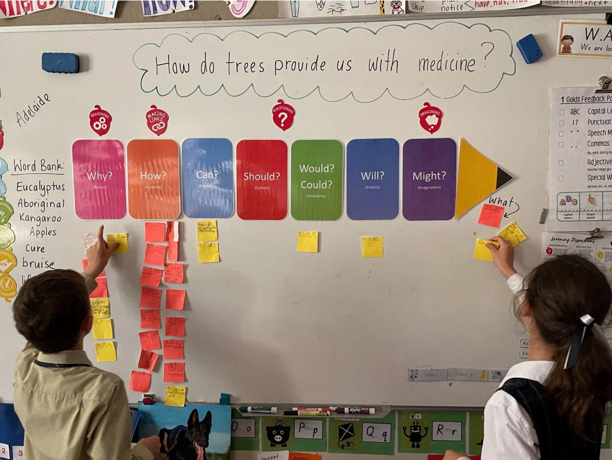 Inquiry Mindset Questions Edition — Trevor MacKenzie