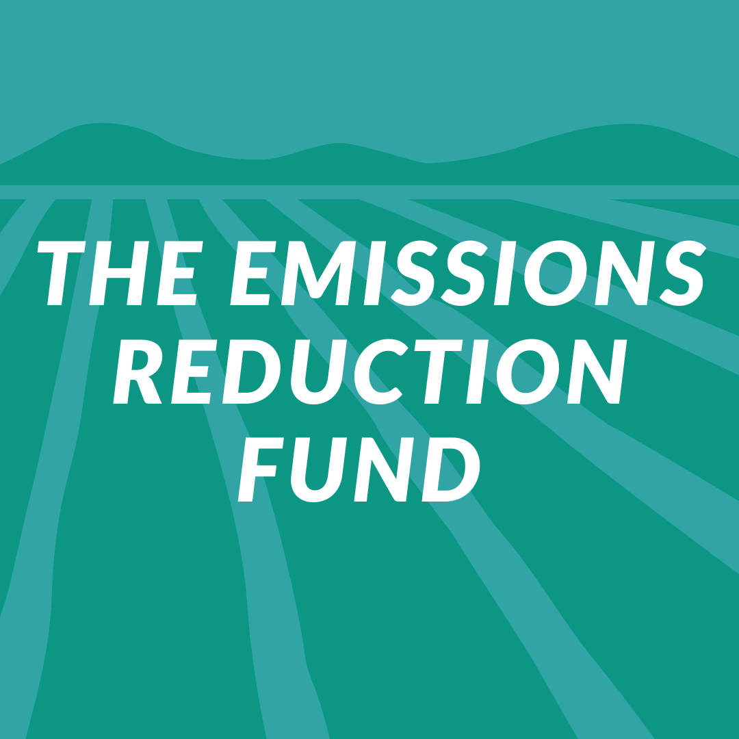 Case Studies — Conservative Environment Network