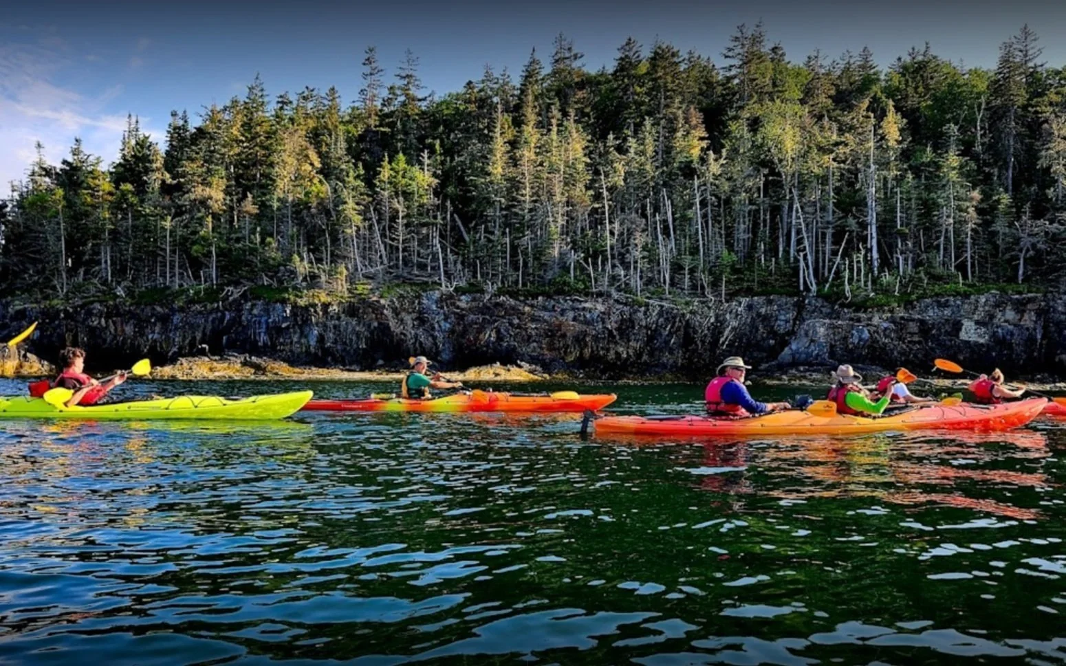 Coastal Kayaking Tours
