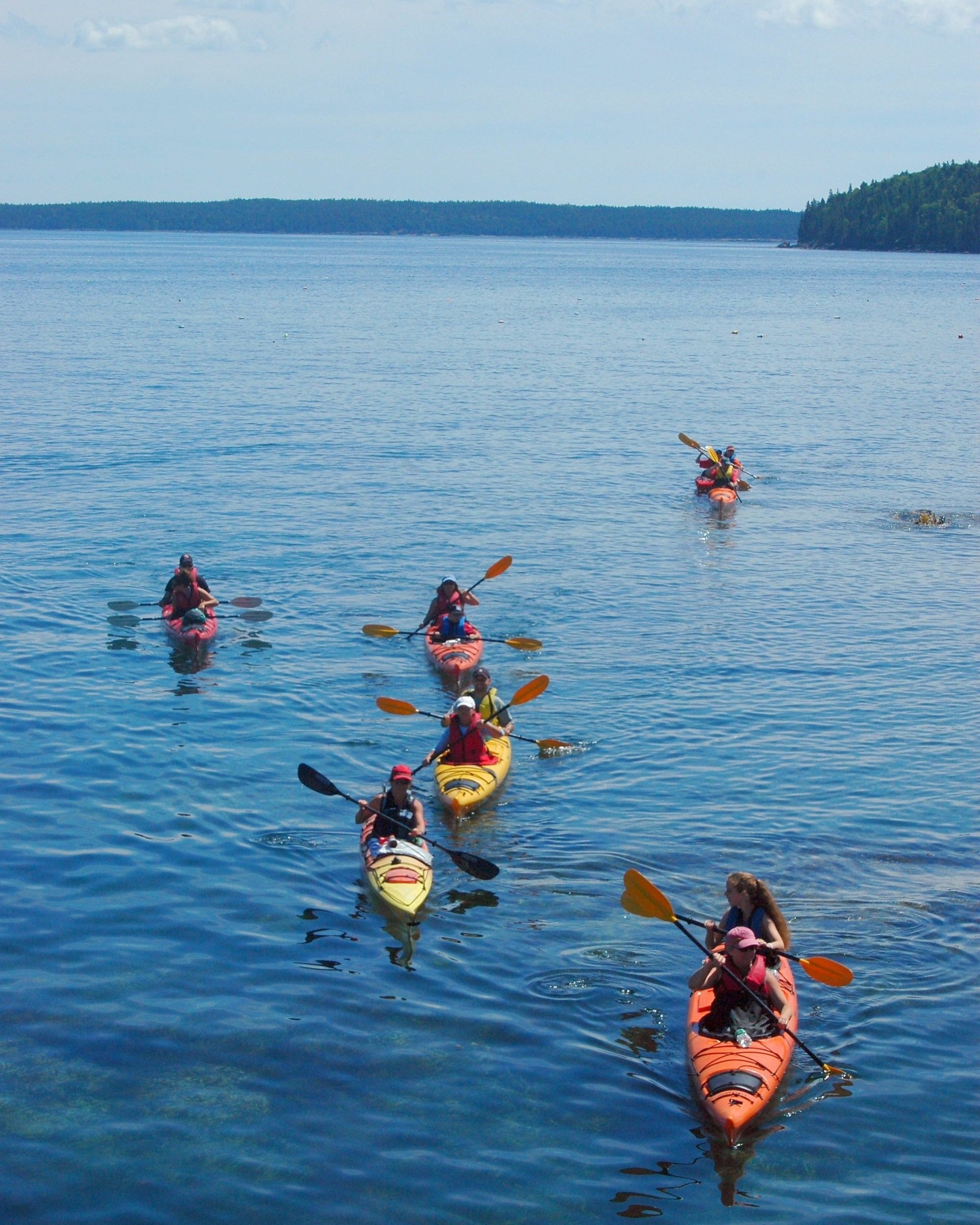 Coastal Kayaking Tours