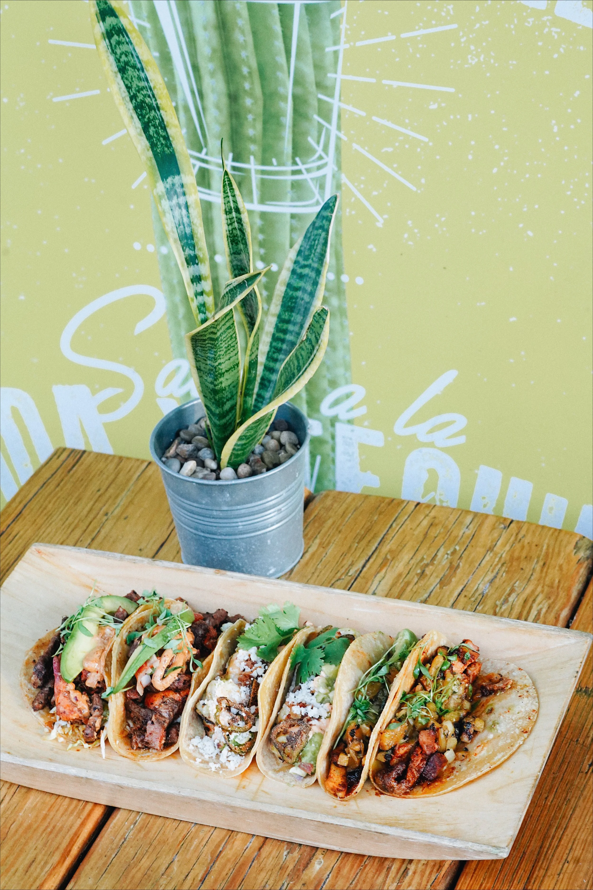 Specials — The Blind Burro