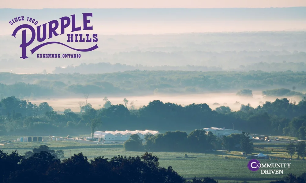 The Purple Co.