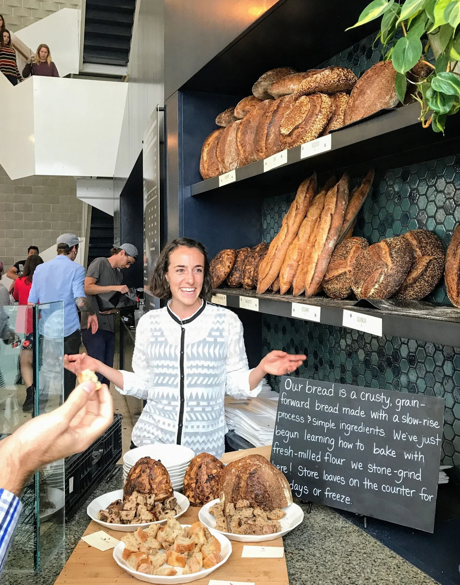 Where We Came From, Where We’re Going — Ibis Bakery