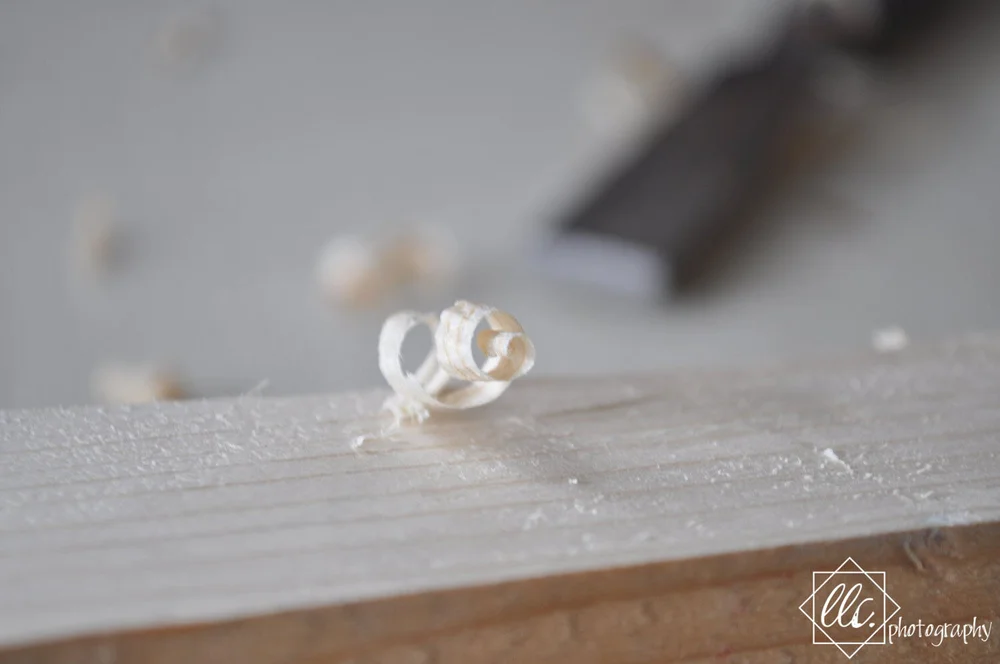 Photography — Lisa Licata: Design Portfolio