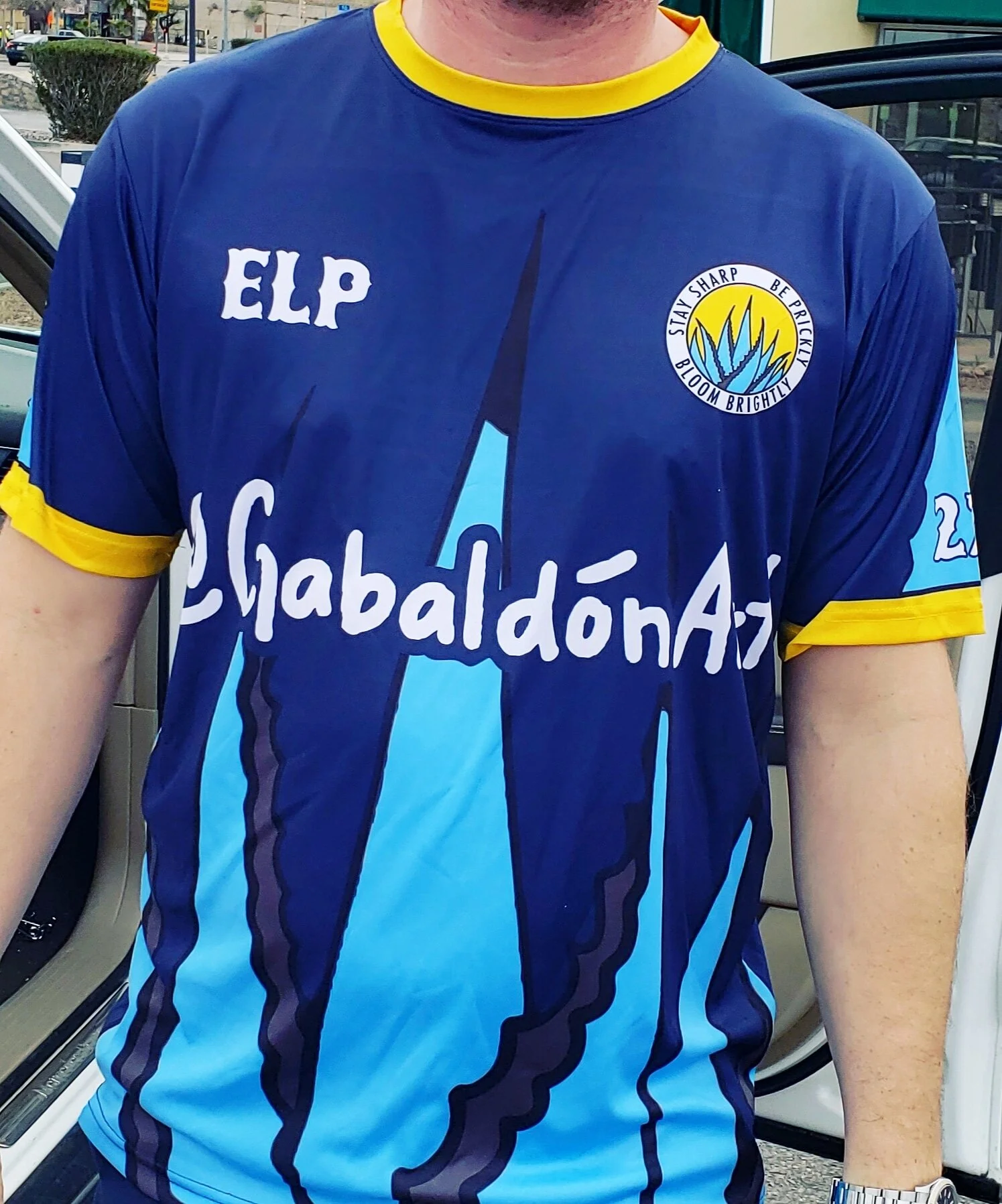 Store — Gabaldon Art