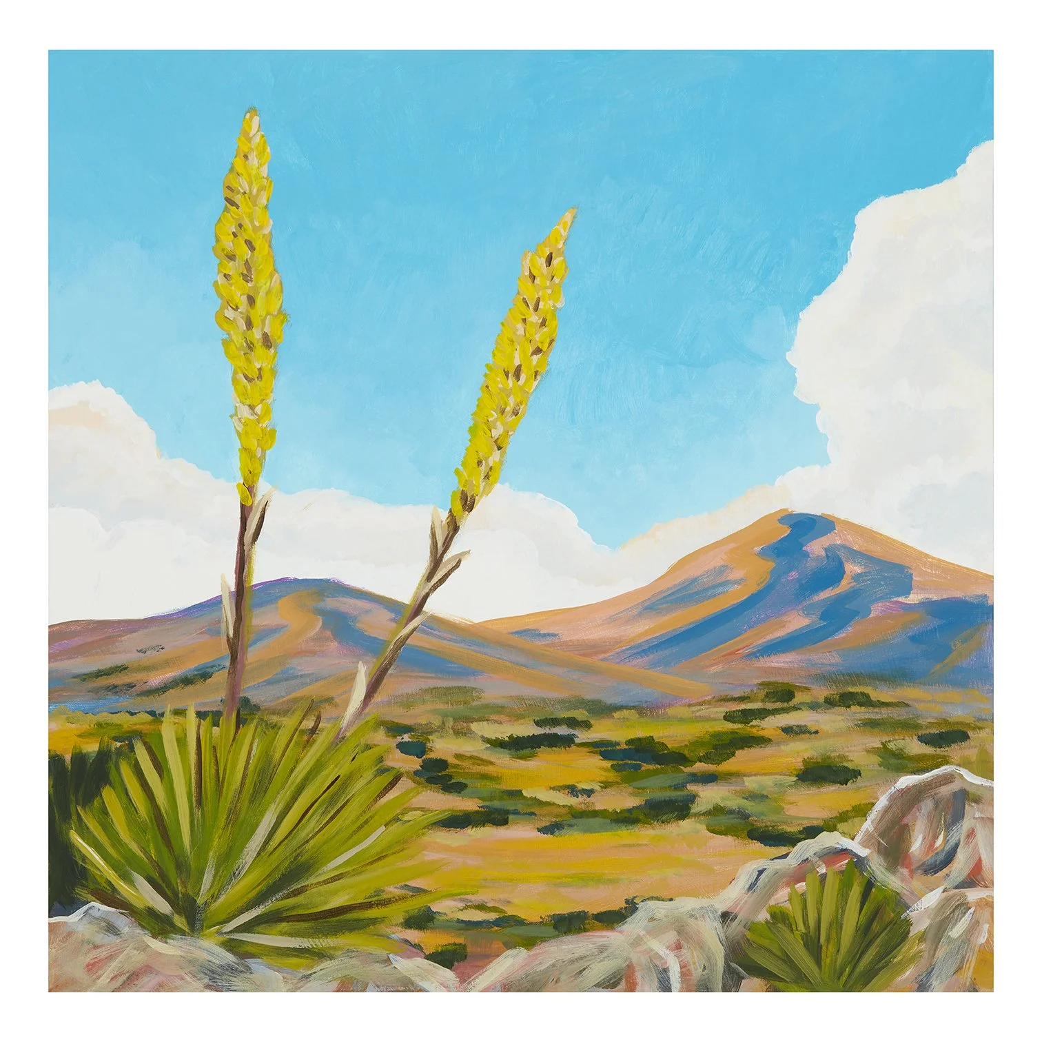 Portfolio 2024 — Gabaldon Art