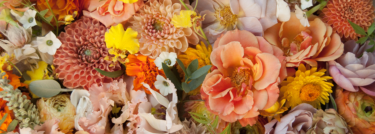 Windflower Design Co.