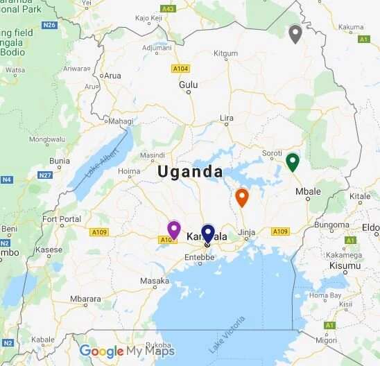 OUR RESULTS — Whave