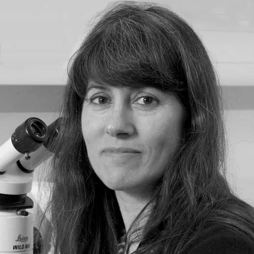 People — Andrea Brand Lab