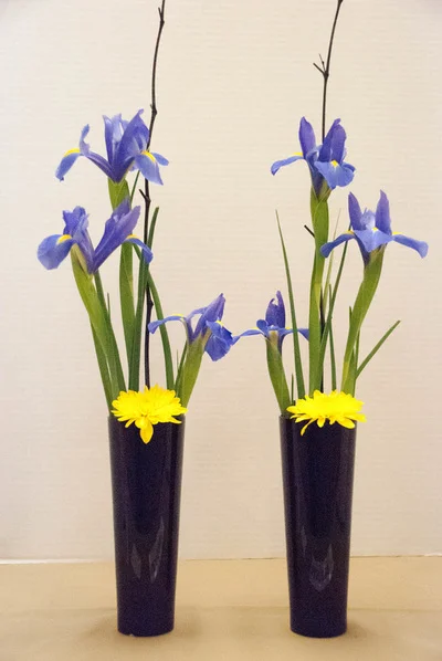 Spatial Thrust Design — Beverley Hills Garden Club