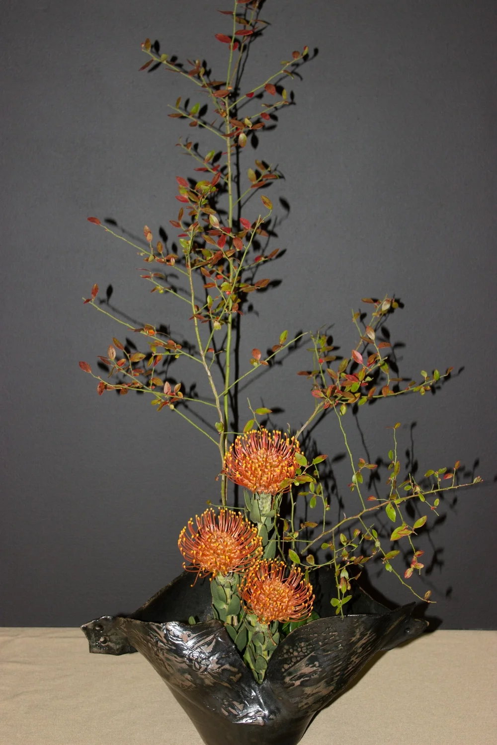 American Traditional Line — Beverley Hills Garden Club