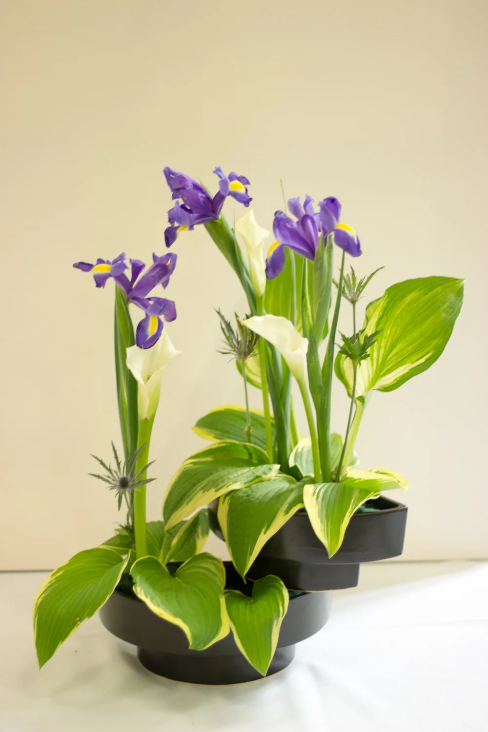 Parallel Design — Beverley Hills Garden Club